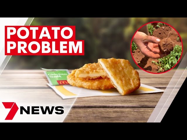 McDonald's Accused Of Hoarding Potatoes As Australia's Supply Dwindles